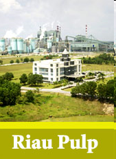 Riau Andalan Pulp and Paper termination 1.000 employess - Quantum ...